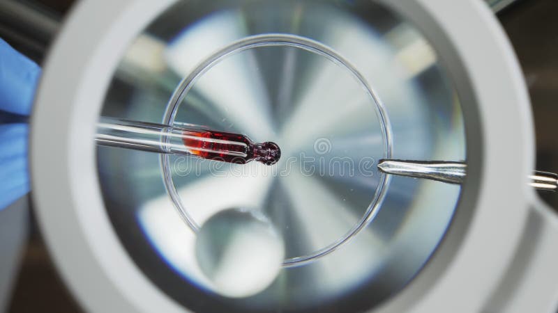 Drop of Blood Under the Microscope Stock Footage - Video of coronavirus ...