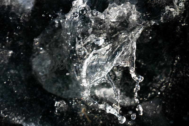 A drop in the bucket stock photo. Image of wave, branch - 240318262