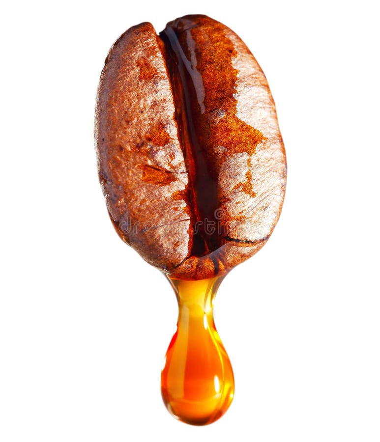 Drop Of Coffee Dripping From Coffee Seed Isolated On White Stock Photo ...