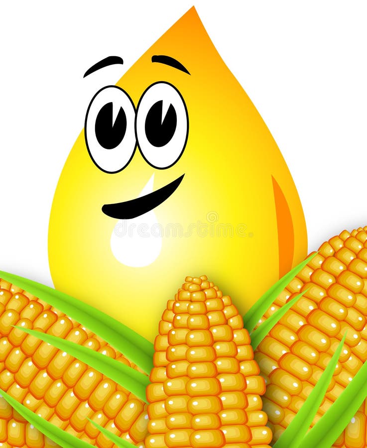 Drop corn oil stock vector. Illustration of illustrations - 57434686