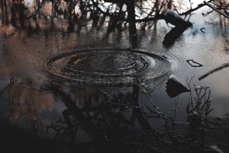 Katherine Mcgann (Justinandkatey) - Photos