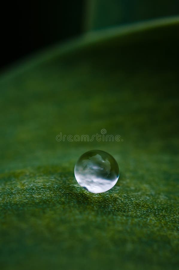 A drop of dew on a leaf stock image. Image of freshness - 51128791