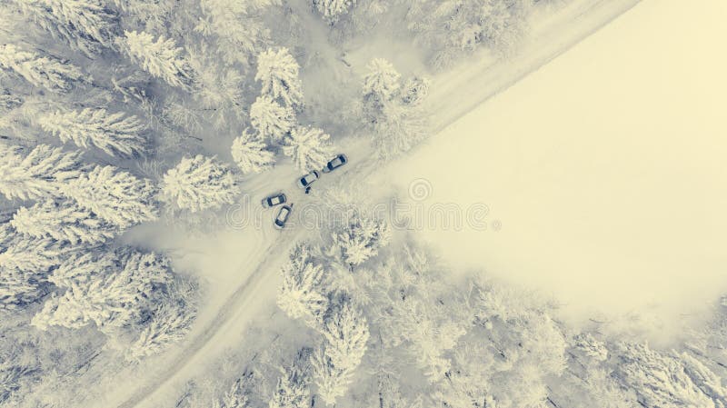 Drop Down of a Road through Snow Covered Forest. Stock Image - Image of ...