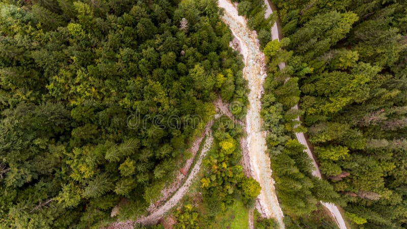 Drop Down View of River Bed Running through a Forest. Stock Image ...