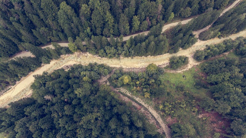 Drop Down View of River Bed Running through a Forest. Stock Photo ...