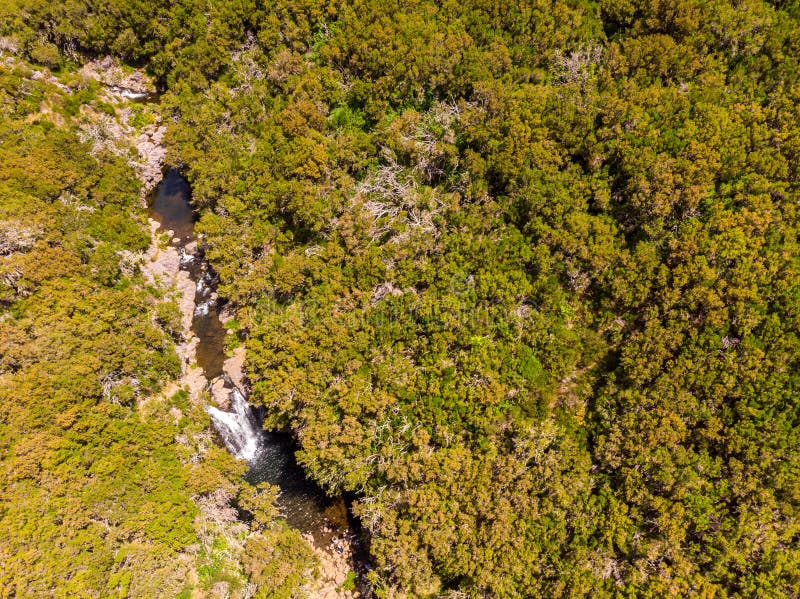 Drop Down View of River Runing through Forest. Stock Image - Image of ...