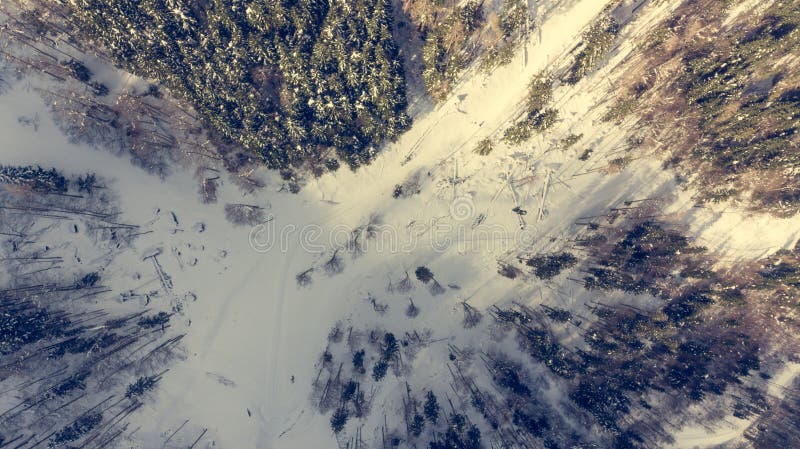 Drop Down View of Road Going through Winter Forest. Stock Image - Image ...