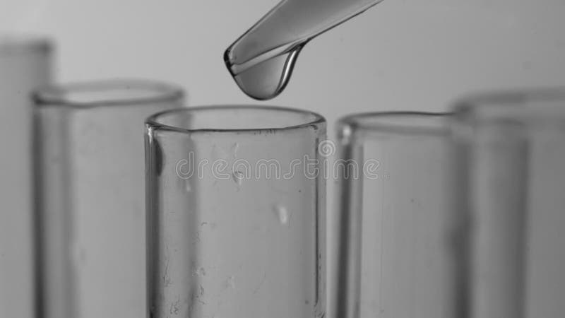 Drop Dripping into Laboratory Test Tubes. Stock Footage - Video of ...