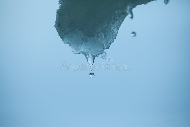 A Drop Dripping during Snow Melt Stock Photo - Image of liquid, color ...