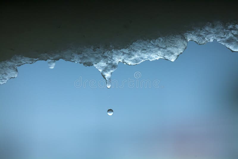 A Drop Dripping during Snow Melt Stock Photo - Image of melt, clear ...