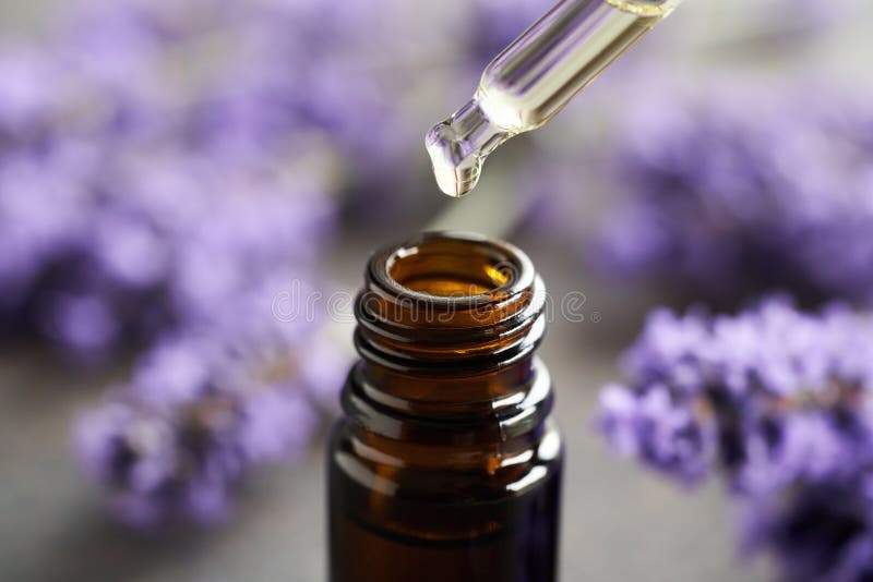 A Drop of Essential Oil with a Dropper and Blooming Lavender Plant ...