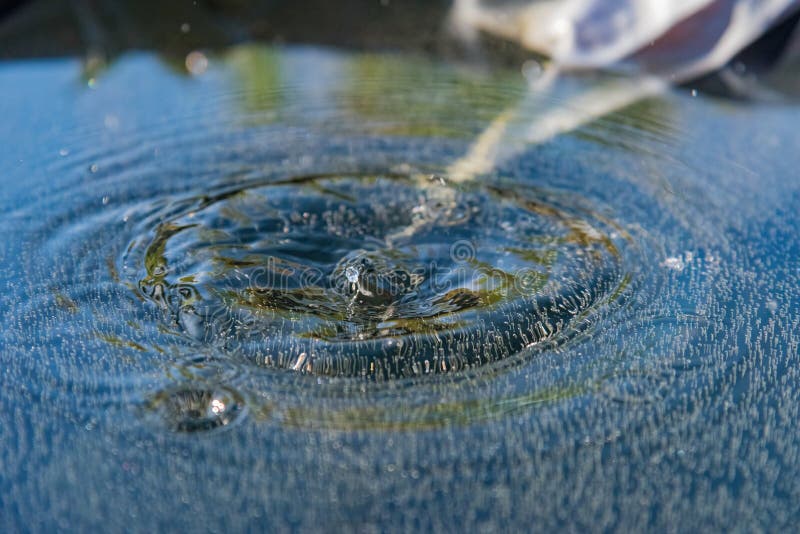 A Drop Falling into the Water in a Container Against the Background of ...
