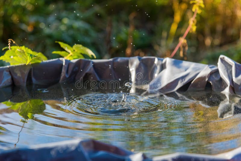 A Drop Falling into the Water in a Container Against the Background of ...