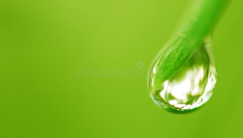 Drop - Green Background stock image. Image of fresh, spatter - 22976119