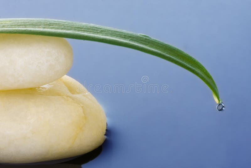 Drop in leaf stock image. Image of light, backgrounds - 18843009