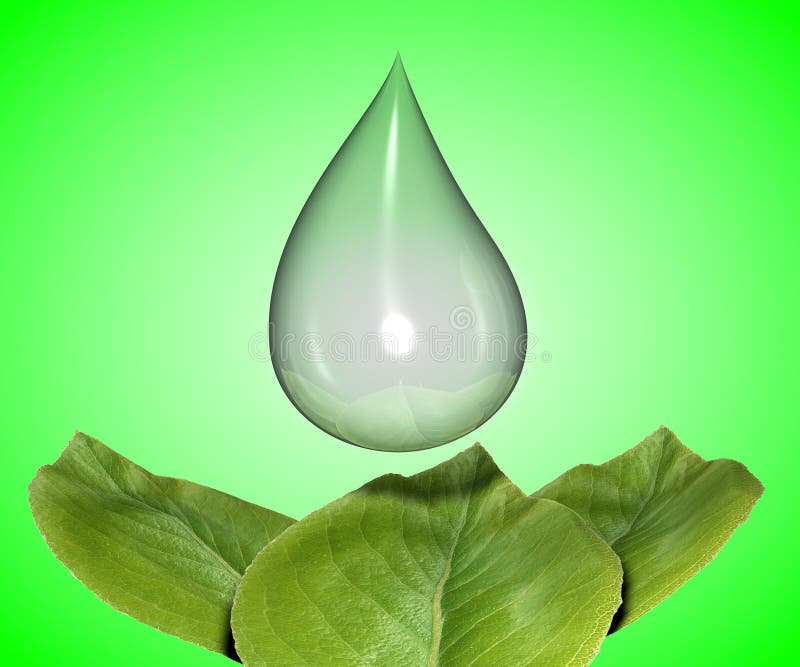 Drop Leaf Water Ecology Environment Stock Illustration - Illustration ...