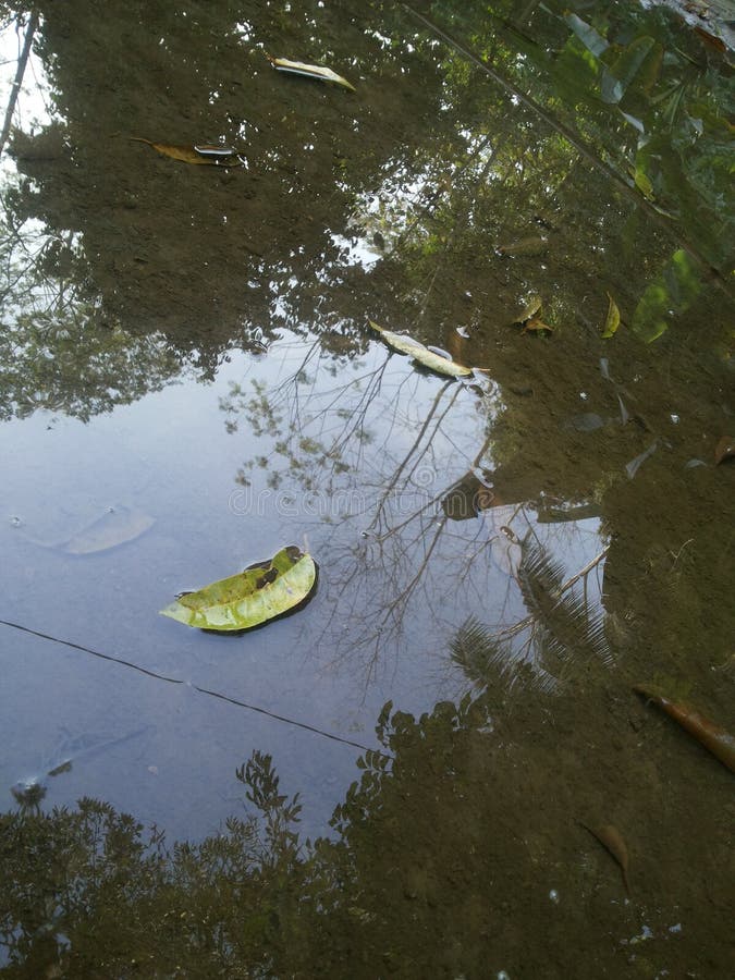 Drop stock photo. Image of leaves, fall, exploration - 106992914