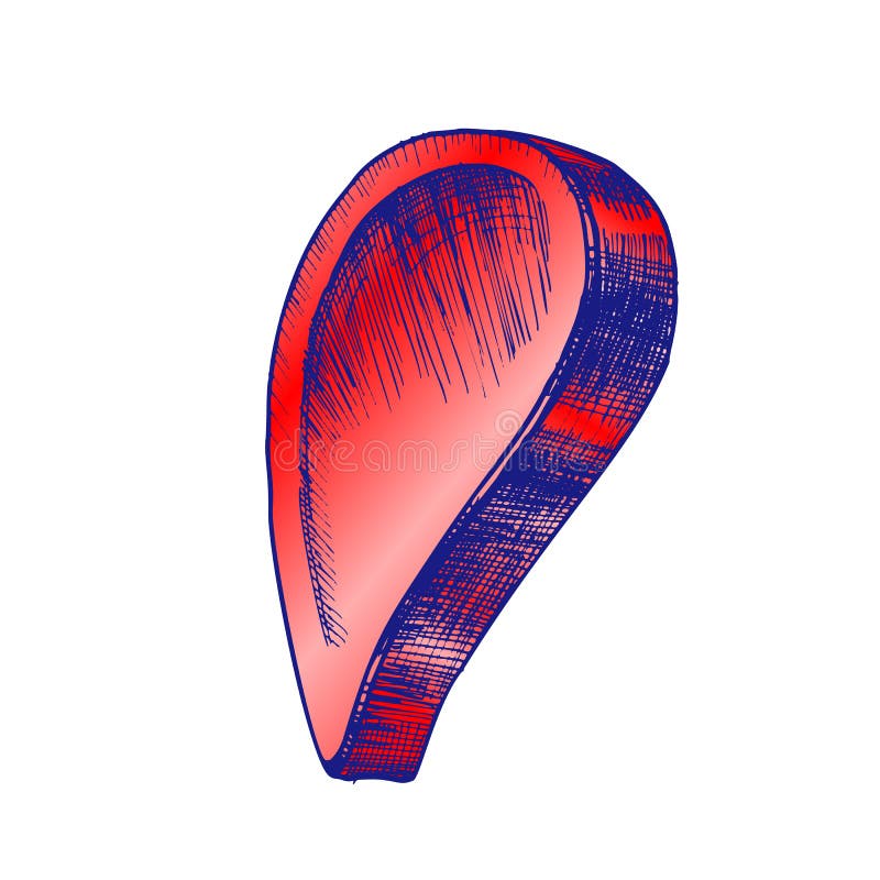 Color Drop Map Pointer Gps Location App Icon Vector Stock Vector ...