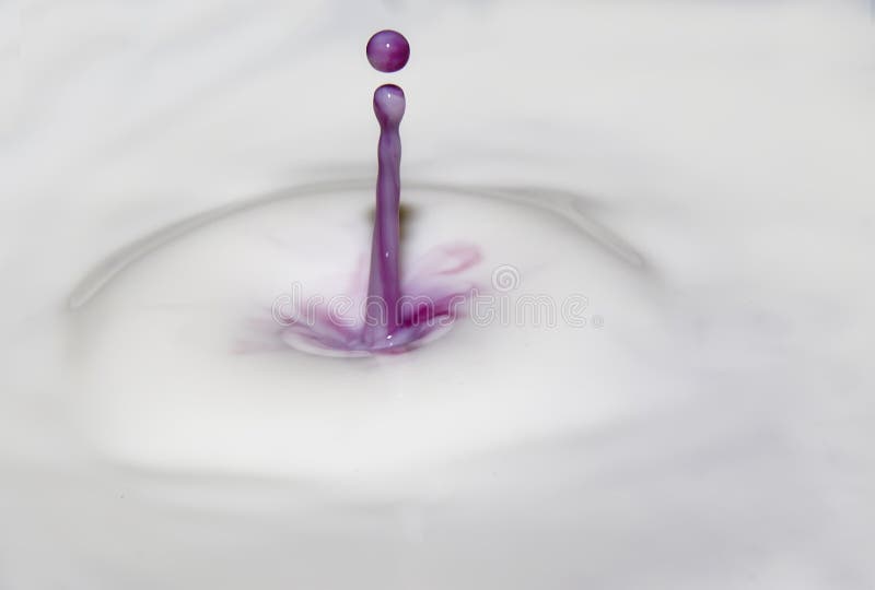 Drop in milk stock photo. Image of fluid, design, freshness - 78909210