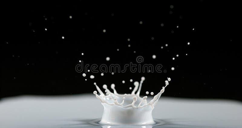 Drop of Milk Falling Against Black Background Stock Image - Image of ...