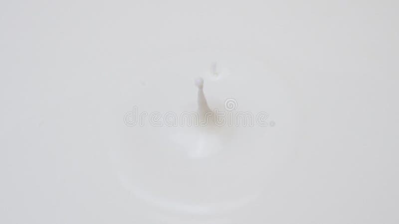 A Drop of Milk Falling into Milk, a Blot of Milk. Fresh Milk Stock ...