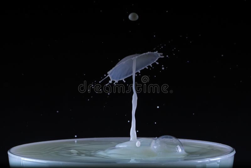 Drop of Milk Falling into the Cup Stock Image - Image of wavy, milk ...