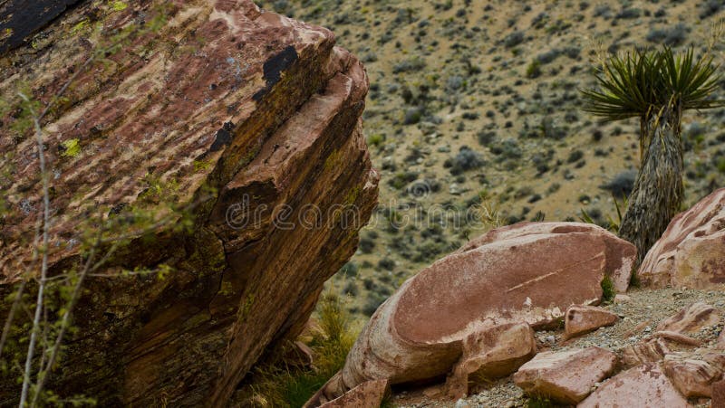 Drop stock photo. Image of mountain, nevada, vegetation - 45579962