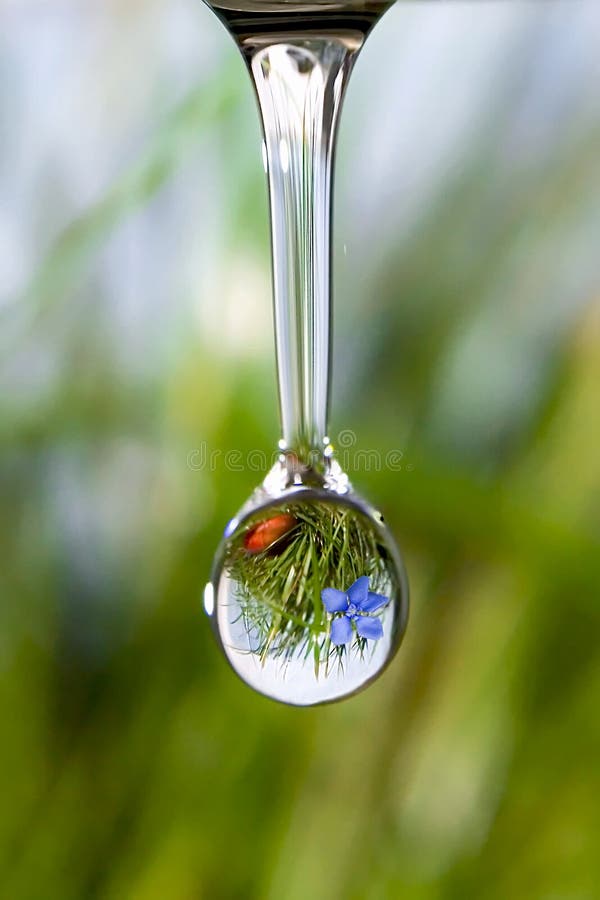 Drop of nature stock image. Image of grass, macro, green - 11055695