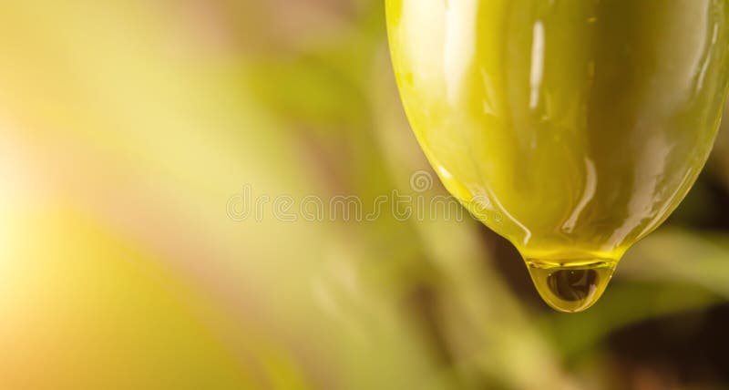 Green olive stock image. Image of concept, healthy, background - 201662795