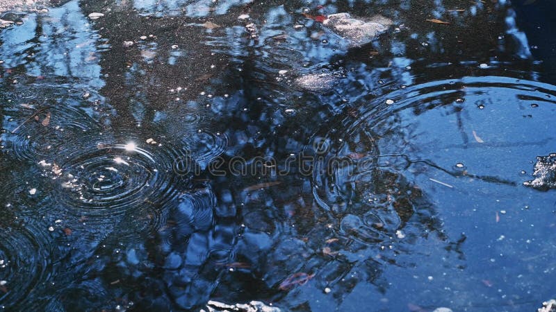 Drop of Rain of Spring Drops Dripping into Clean Water Puddles on ...