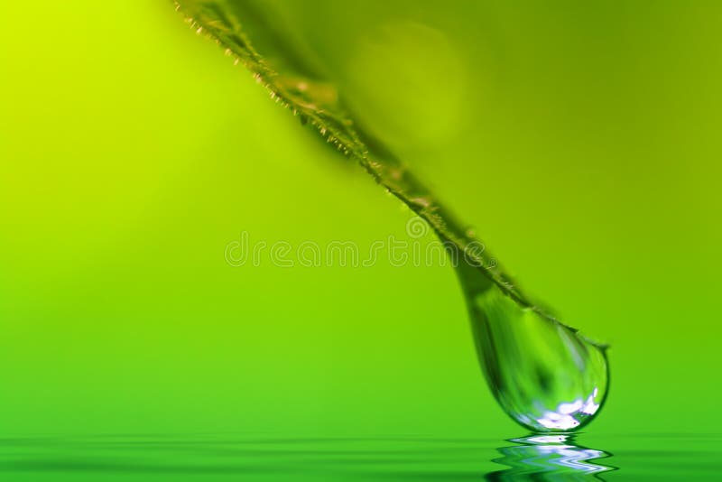 Drop stock image. Image of outdoors, raindrop, water - 59610193