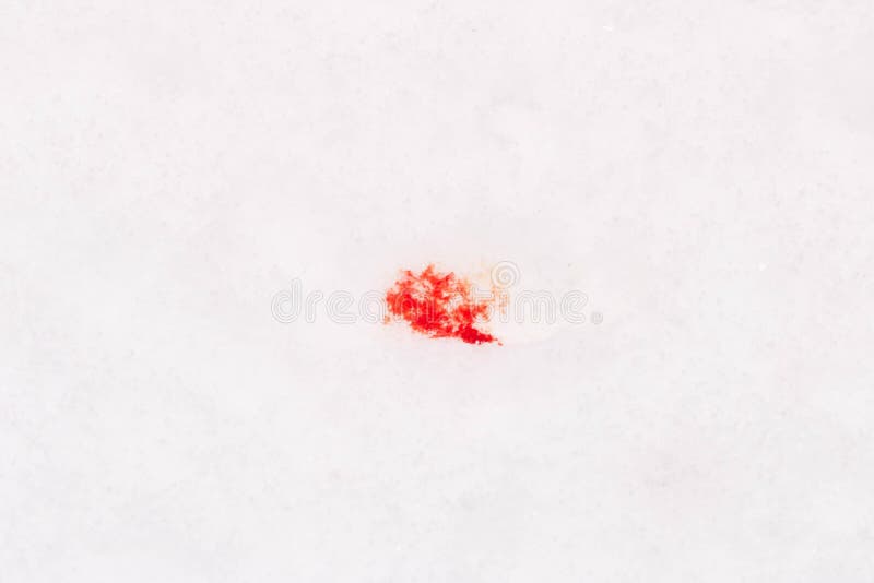 Red blood on the snow stock photo. Image of isolated - 106597744