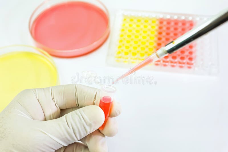 Drop Red Solution in Micro Tube Test Stock Image - Image of pipette ...