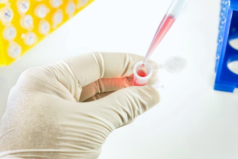 Drop Red Solution in Micro Tube Stock Photo - Image of pipette, micro ...