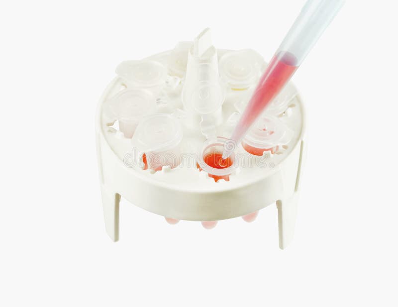 Drop Red Solution in Micro Tube Stock Image - Image of solution ...