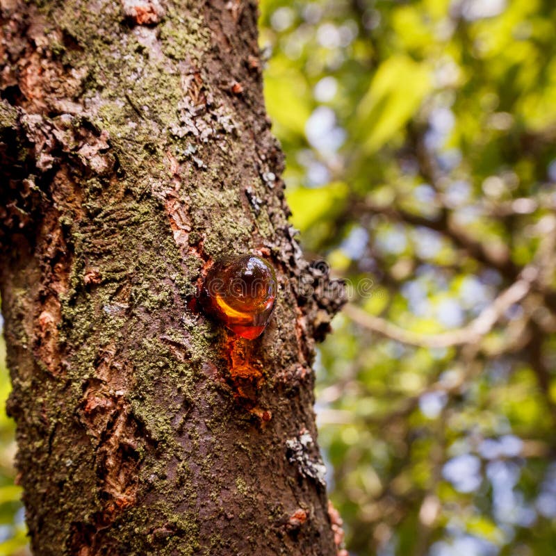 A drop of resin stock photo. Image of decoration, resin - 78845830