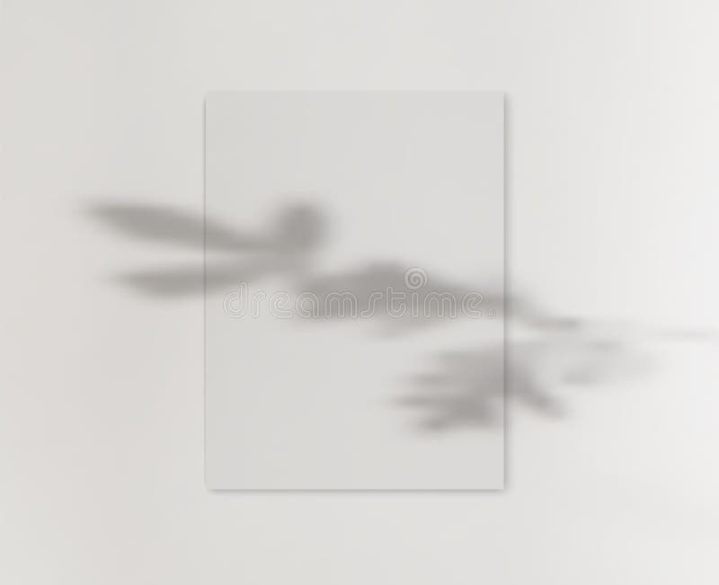 Drop Shadow Overlay Effect on Blank Sheets of Paper. Vector Mockup ...