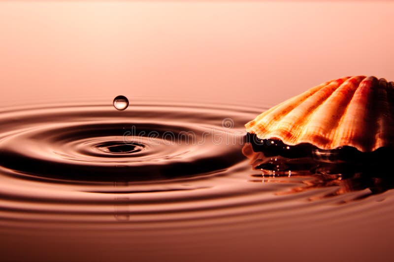 Drop with Shell stock image. Image of fantasy, bath, mirrors - 22806291