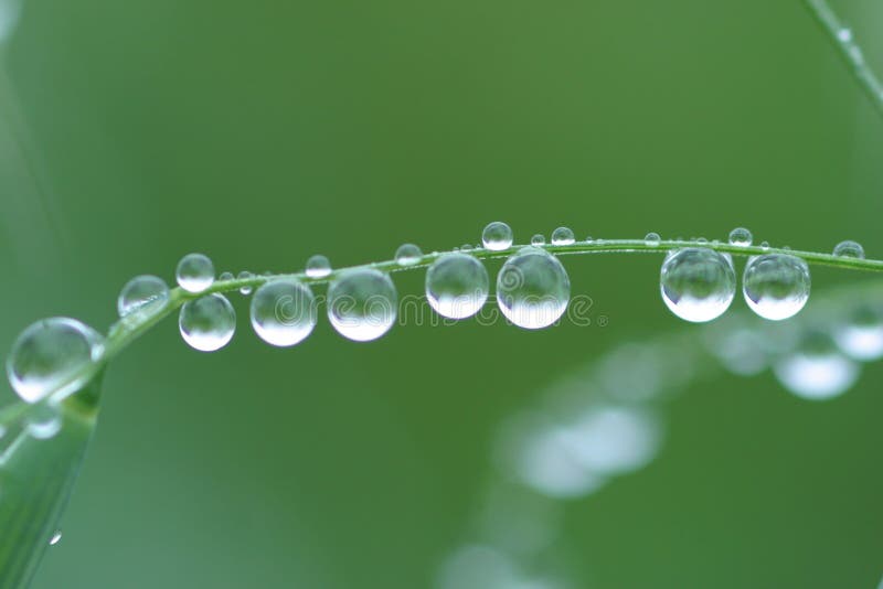 Young Man Surfing At Point Panic Stock Photo - Image of strong, spray ...
