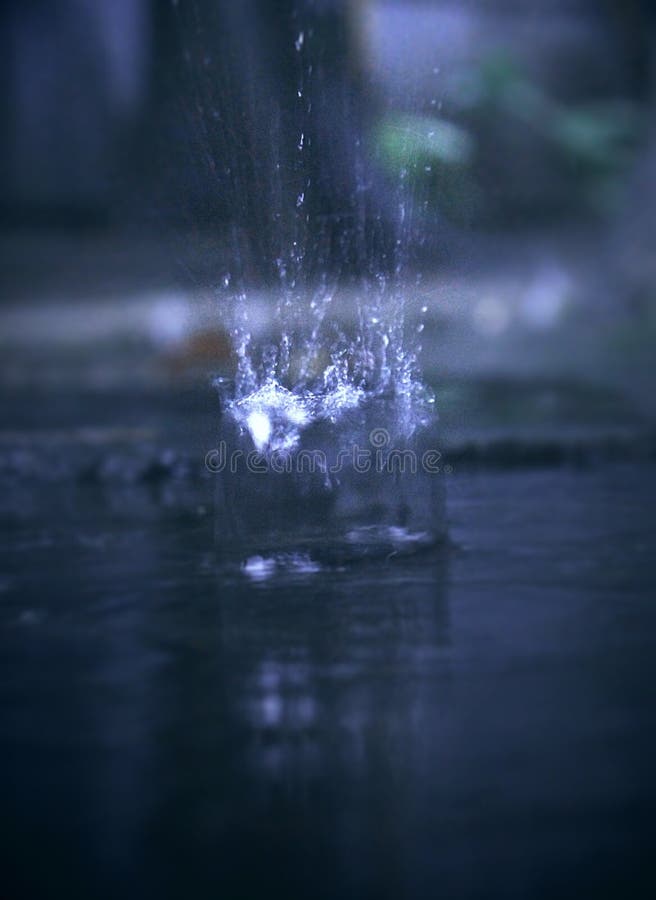 Drop stock photo. Image of nature, weather, drop, rain - 137183326