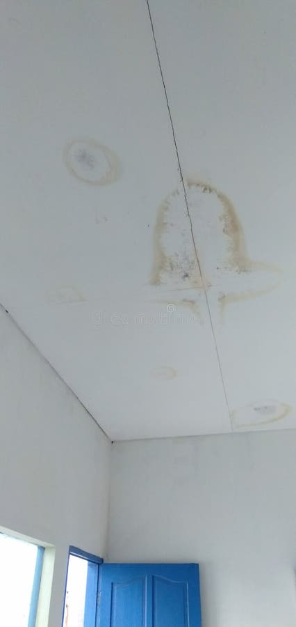 Drop Water from Ceiling in the Office Stock Image - Image of ceiling ...