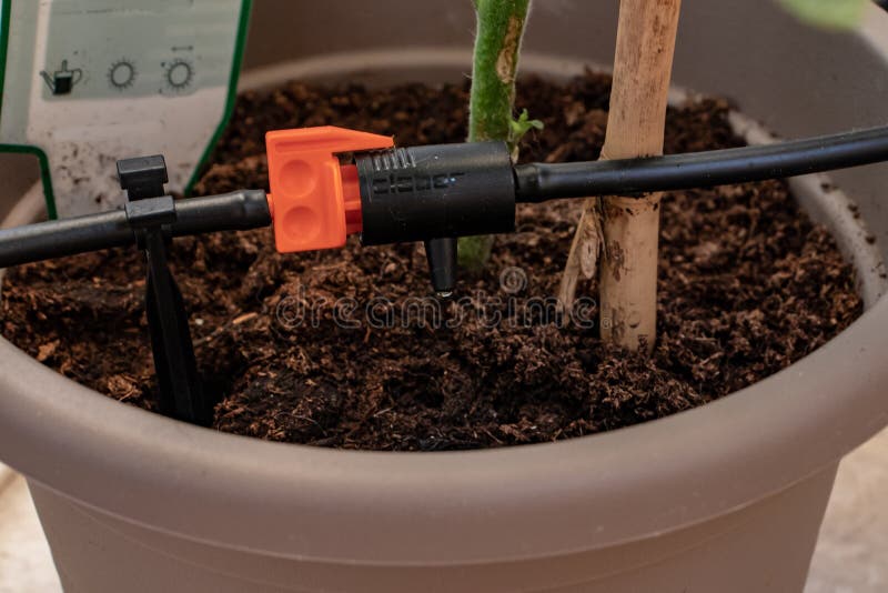 A Drop of Water from a Drip Irrigation System. Stock Image - Image of ...