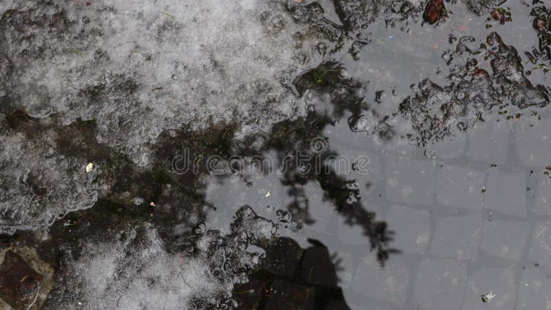 A Drop of Water Falls into a Melted Puddle. Climate Change Stock Video ...