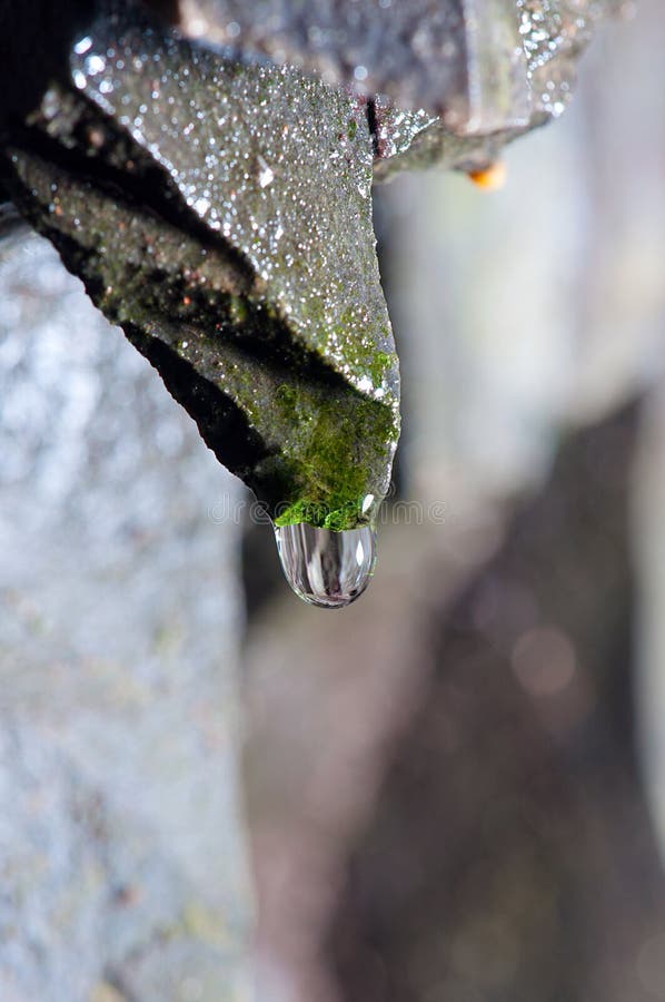 Drop of water stock photo. Image of green, freshness - 30241590