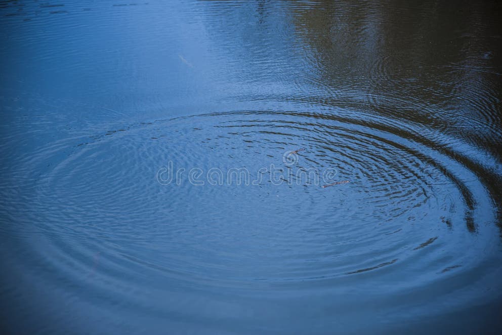 Drop of water in the lake stock image. Image of cityscape - 186158205
