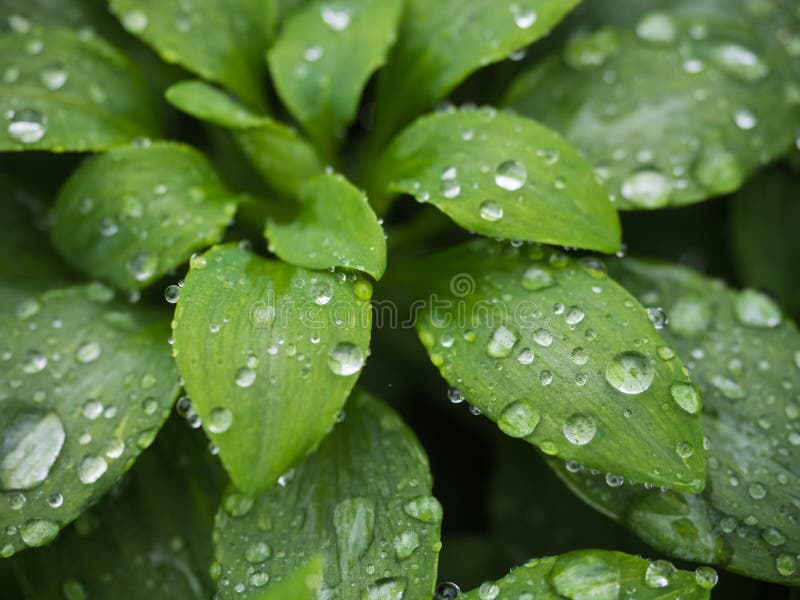 Water leave traces in sand stock image. Image of back - 95674299