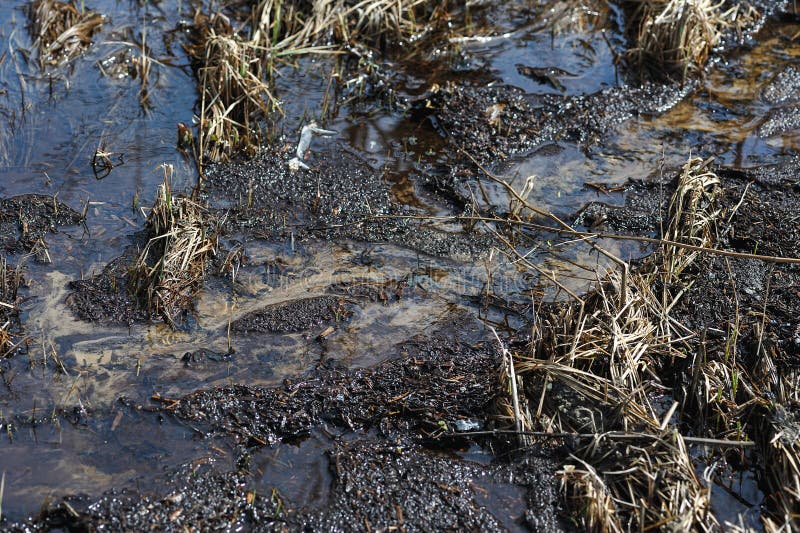 The Drying Up of the Water Flow. Stock Photo - Image of close, level ...