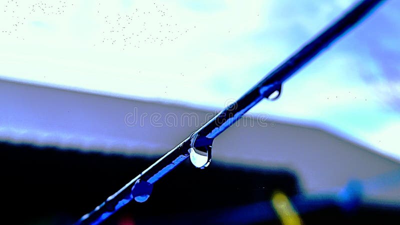 A Drop of Water on a String Stock Photo - Image of spring, poland ...