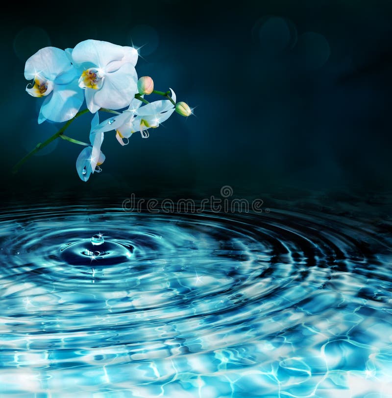 Drop in water with orchid stock image. Image of orchid - 39918043