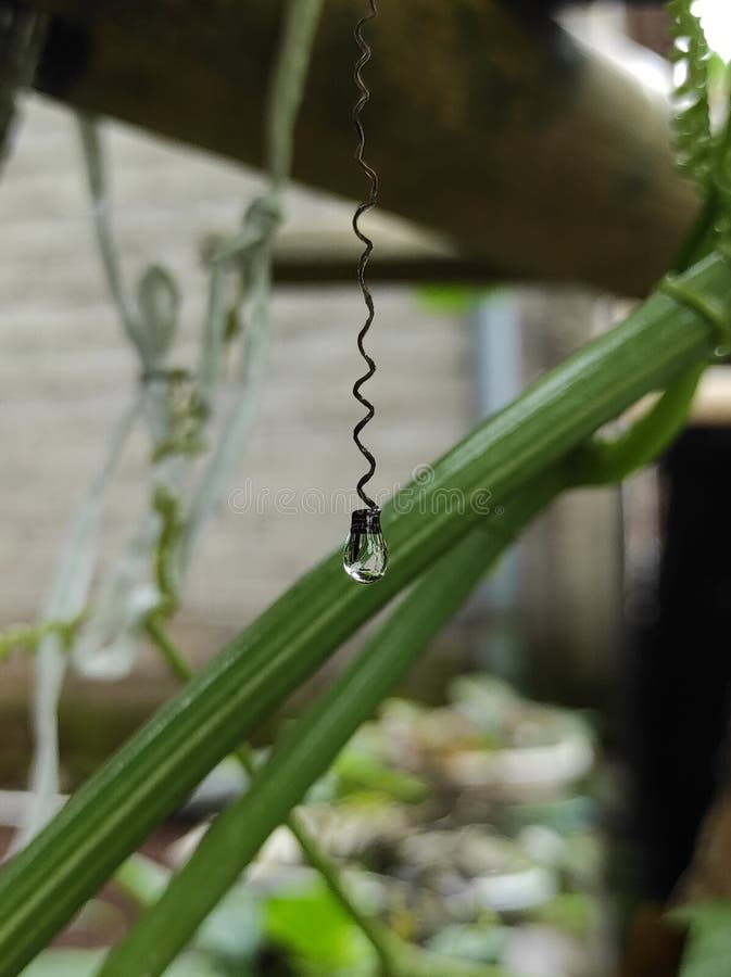A Drop of Water Resembling a Light Bulb Stock Photo - Image of light ...